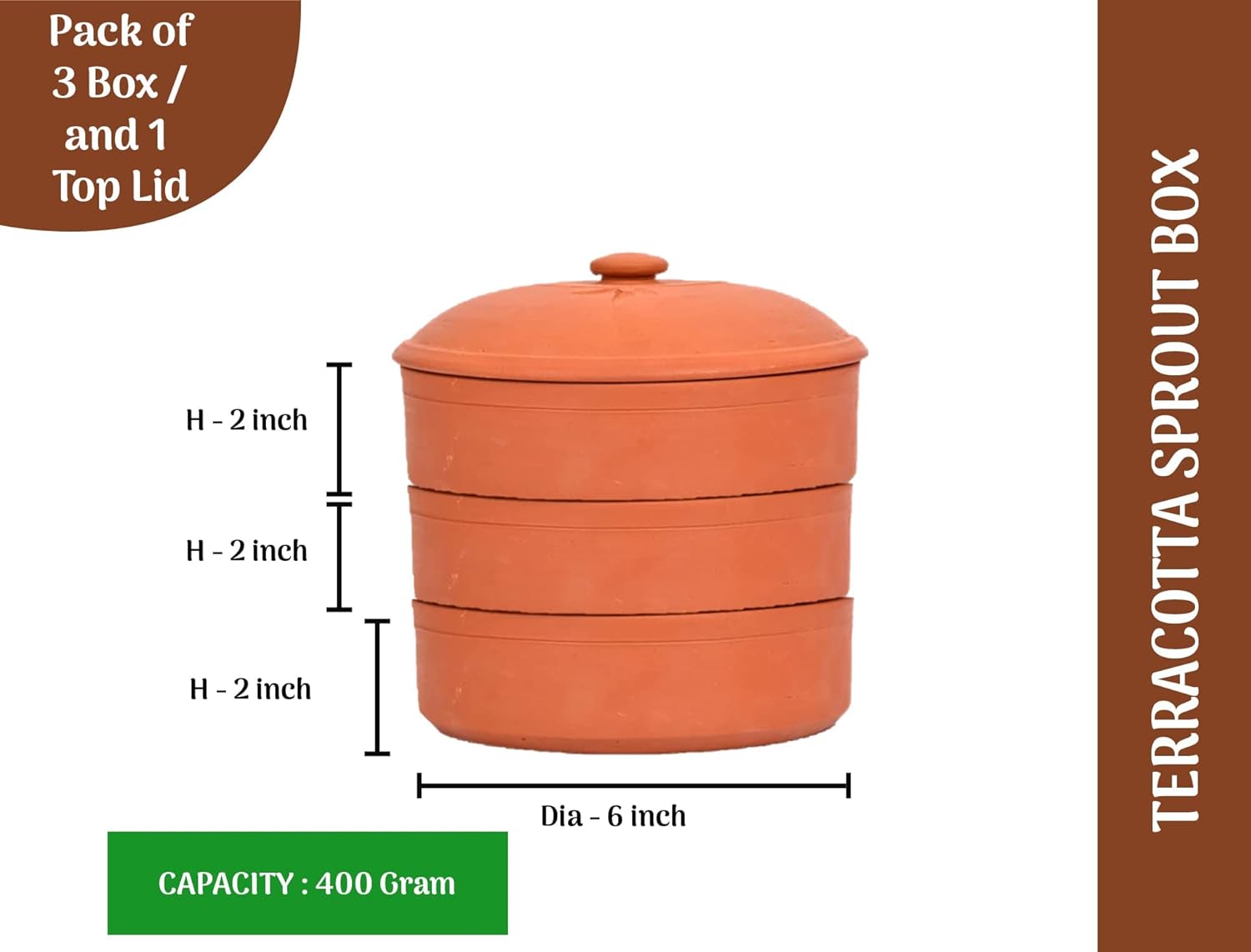 Village Decor Terracotta Sprout Box with lid 3 Container – Link Store